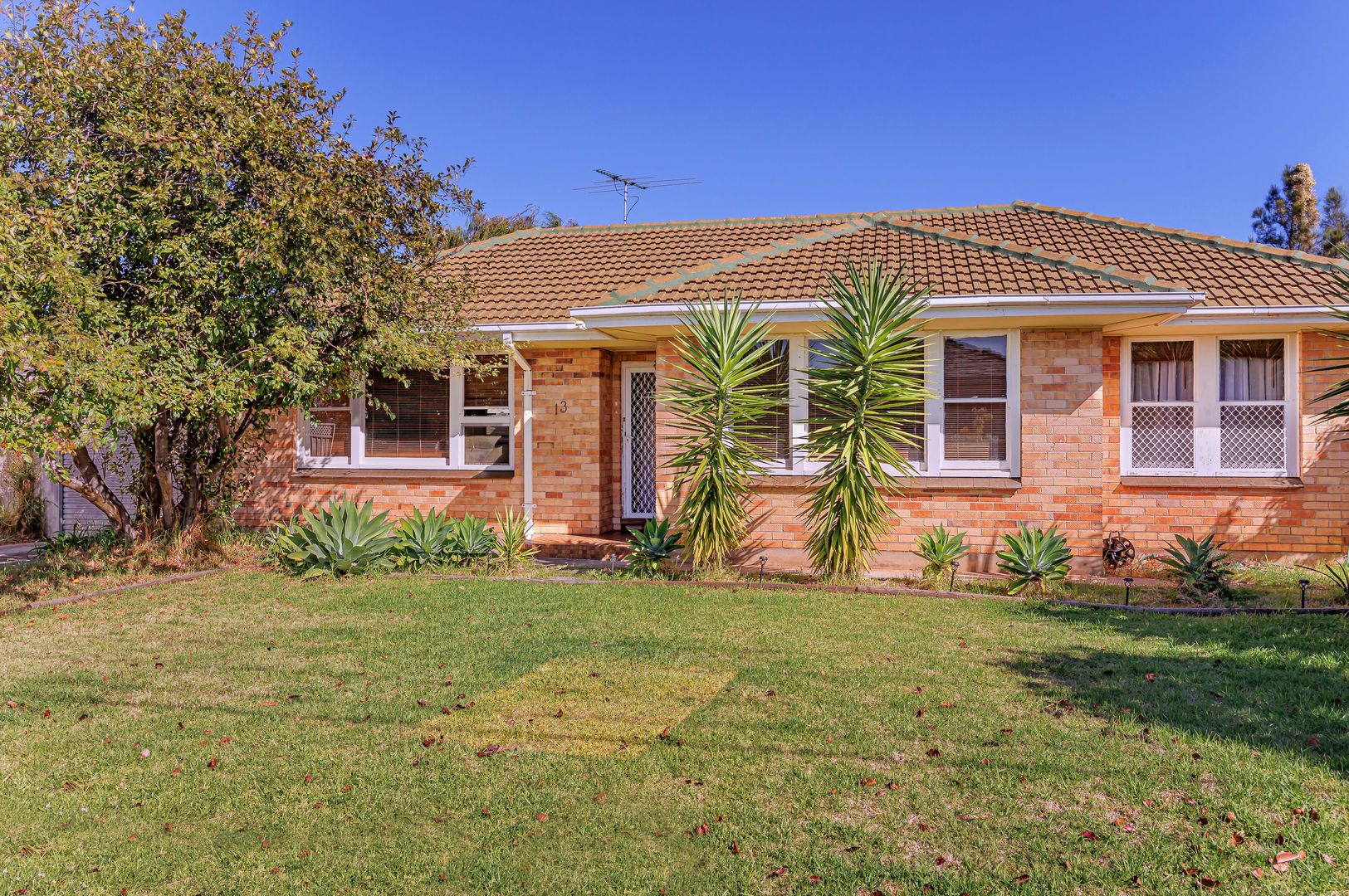 13 Comet Avenue, Netley SA 5037 | Domain