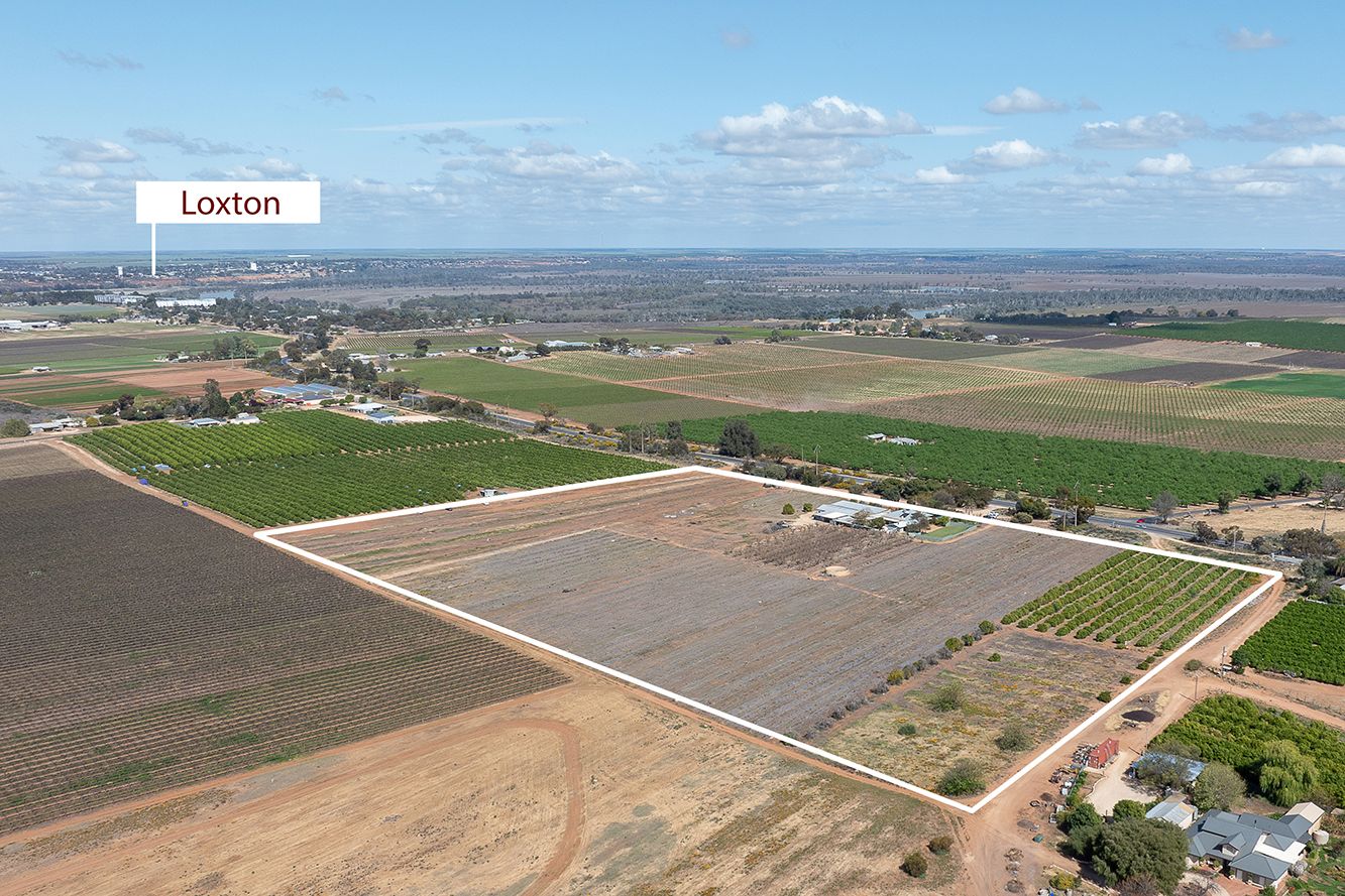 1363 Bookpurnong Road, Loxton SA 5333 - House for Sale - $695,000