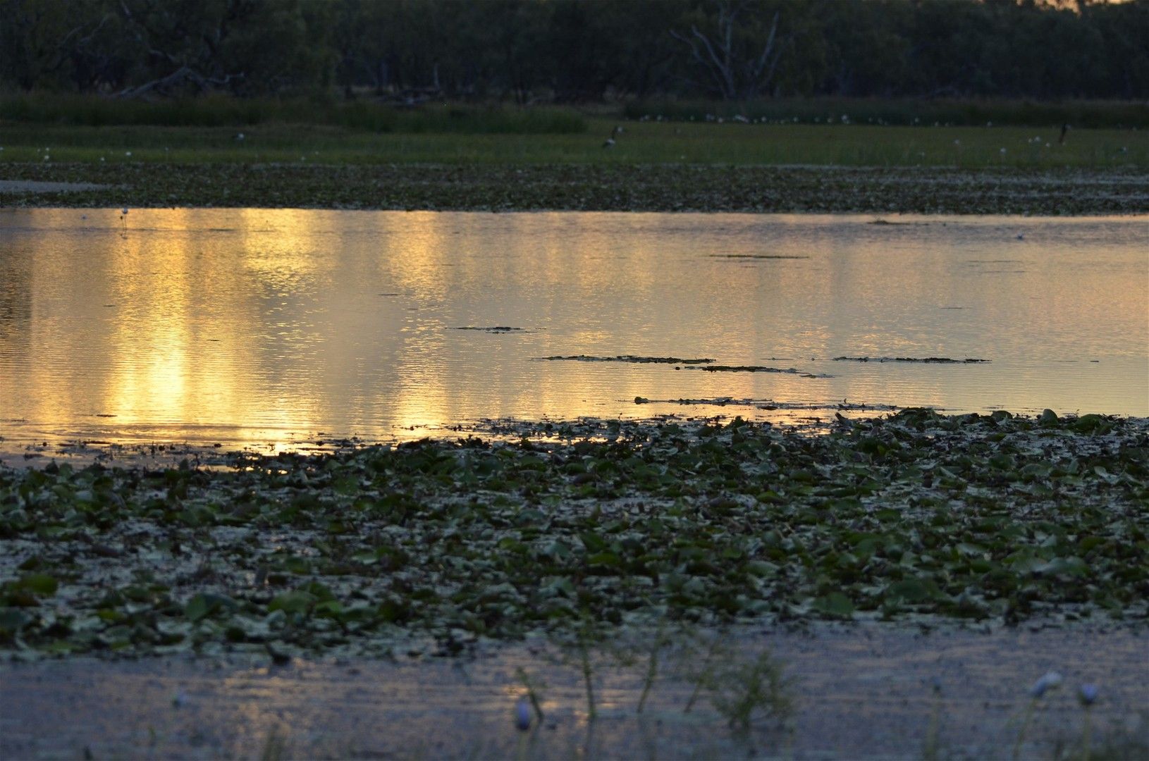 Lot 2 Gulf Development Road, Normanton QLD 4890 - Rural Lifestyle ...