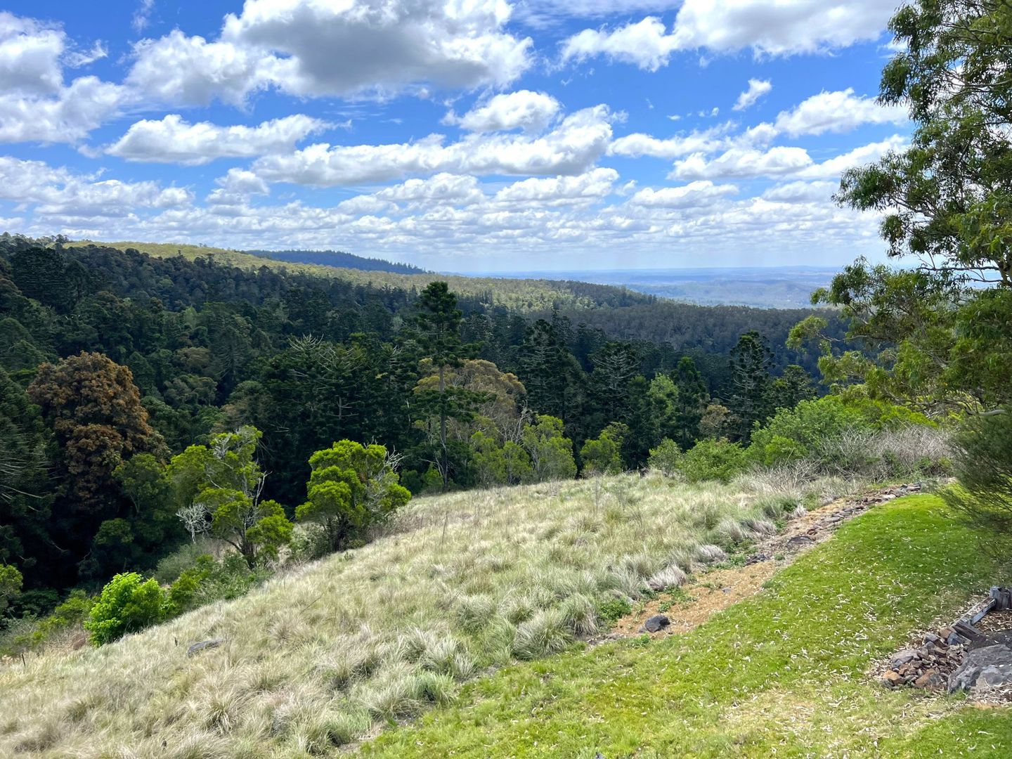 50 Bowerbird Lane, Bunya Mountains QLD 4405 | Domain