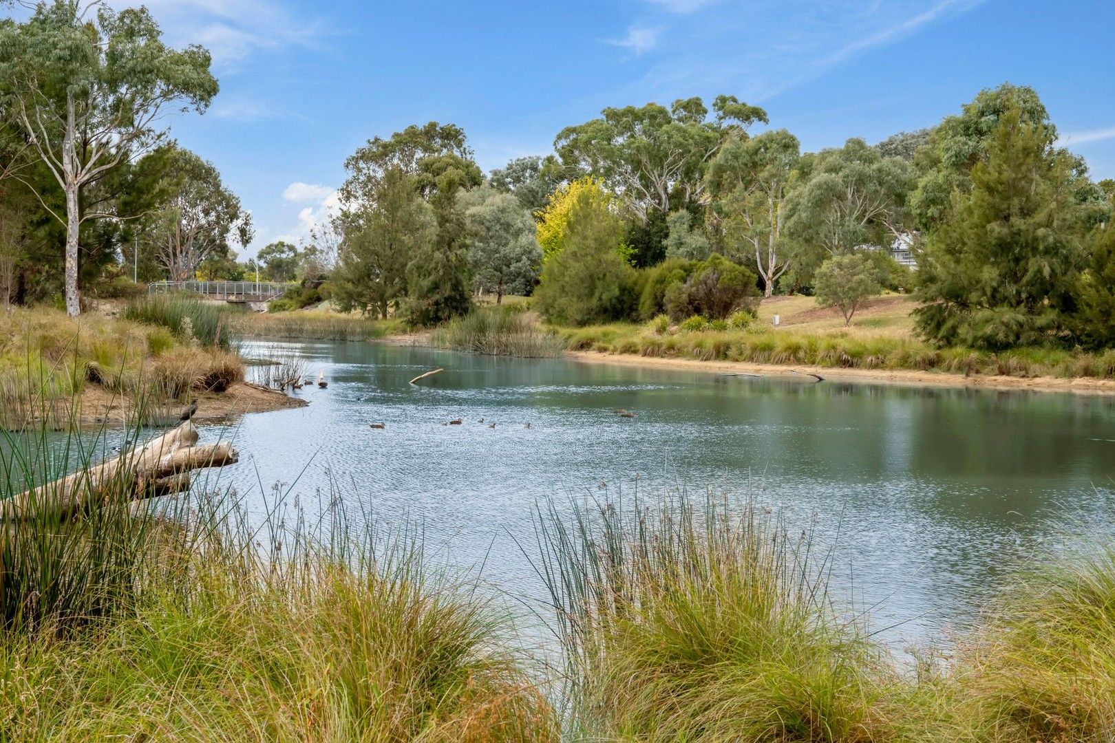 79 HAWDON STREET, Dickson ACT 2602 | Domain