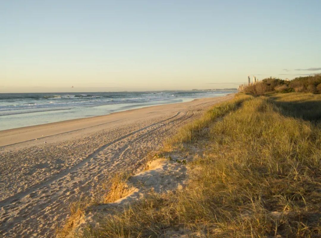 45 Labrador Street, Labrador QLD 4215 | Domain