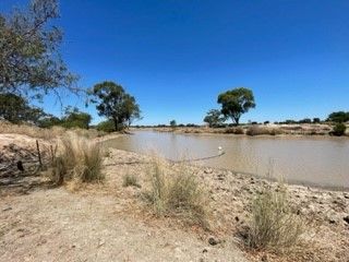 1642 Gwabegar Road, Cuttabri NSW 2388 - Farm for Sale - $2,239,624
