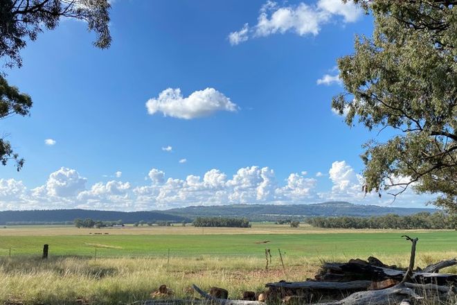 302 Real Estate Properties for Sale in Coolah, NSW, 2843 | Domain