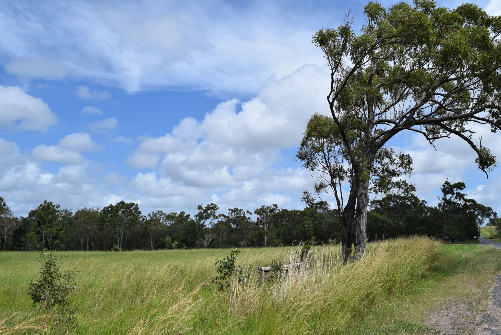 410A Greenhill Road, Ilbilbie QLD 4738 | Domain