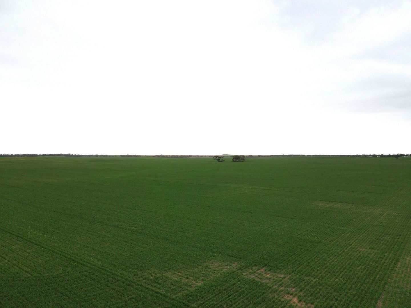 Lot 99 Spencer Highway, Clements Gap SA 5523 - House for Sale - $3,100,000