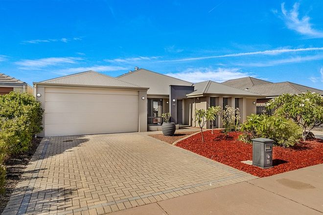 1044 Real Estate Properties for Sale in Ellenbrook, WA, 6069 | Domain