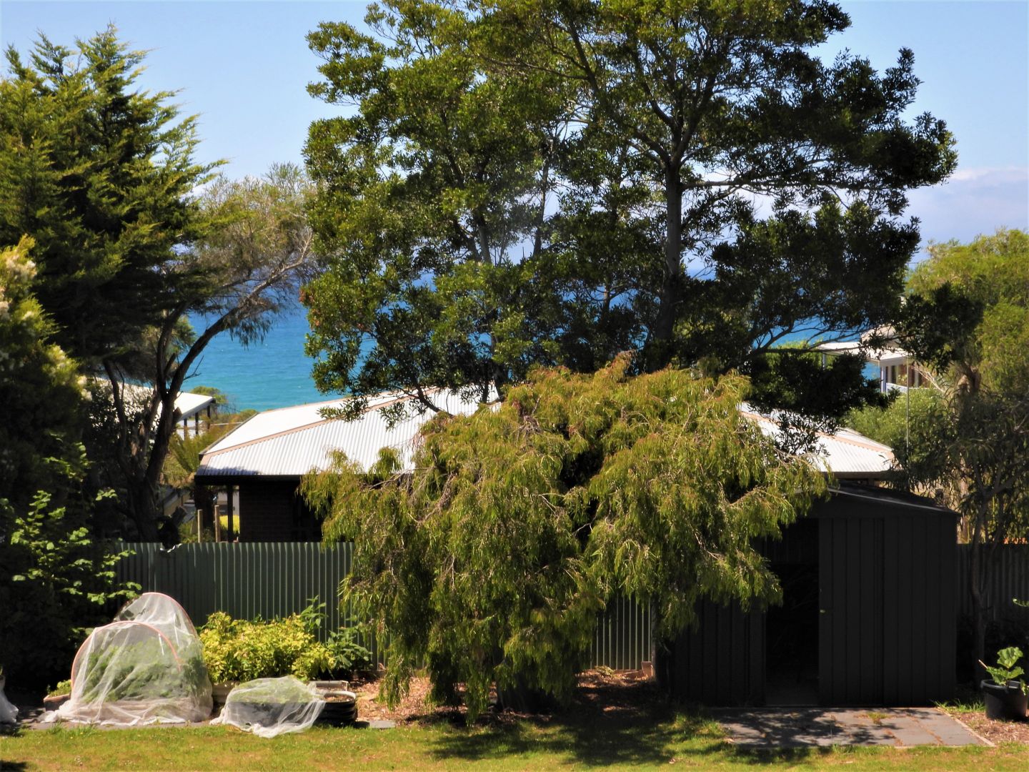 9 Point Avenue, Skenes Creek VIC 3233 | Domain