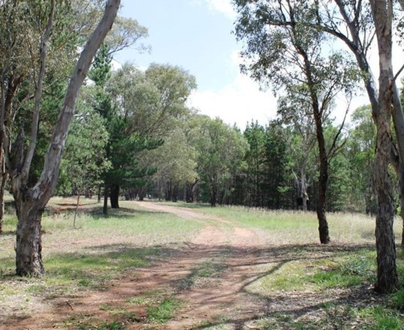 645 Gollan Road, Goolma | Property History & Address Research | Domain