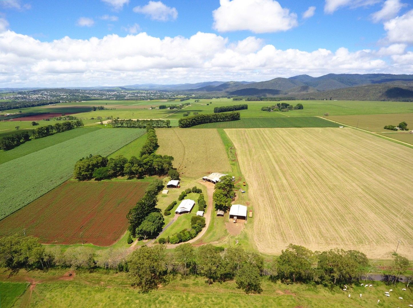 Tolga QLD 4882 - Specialist Farm for Sale | Domain