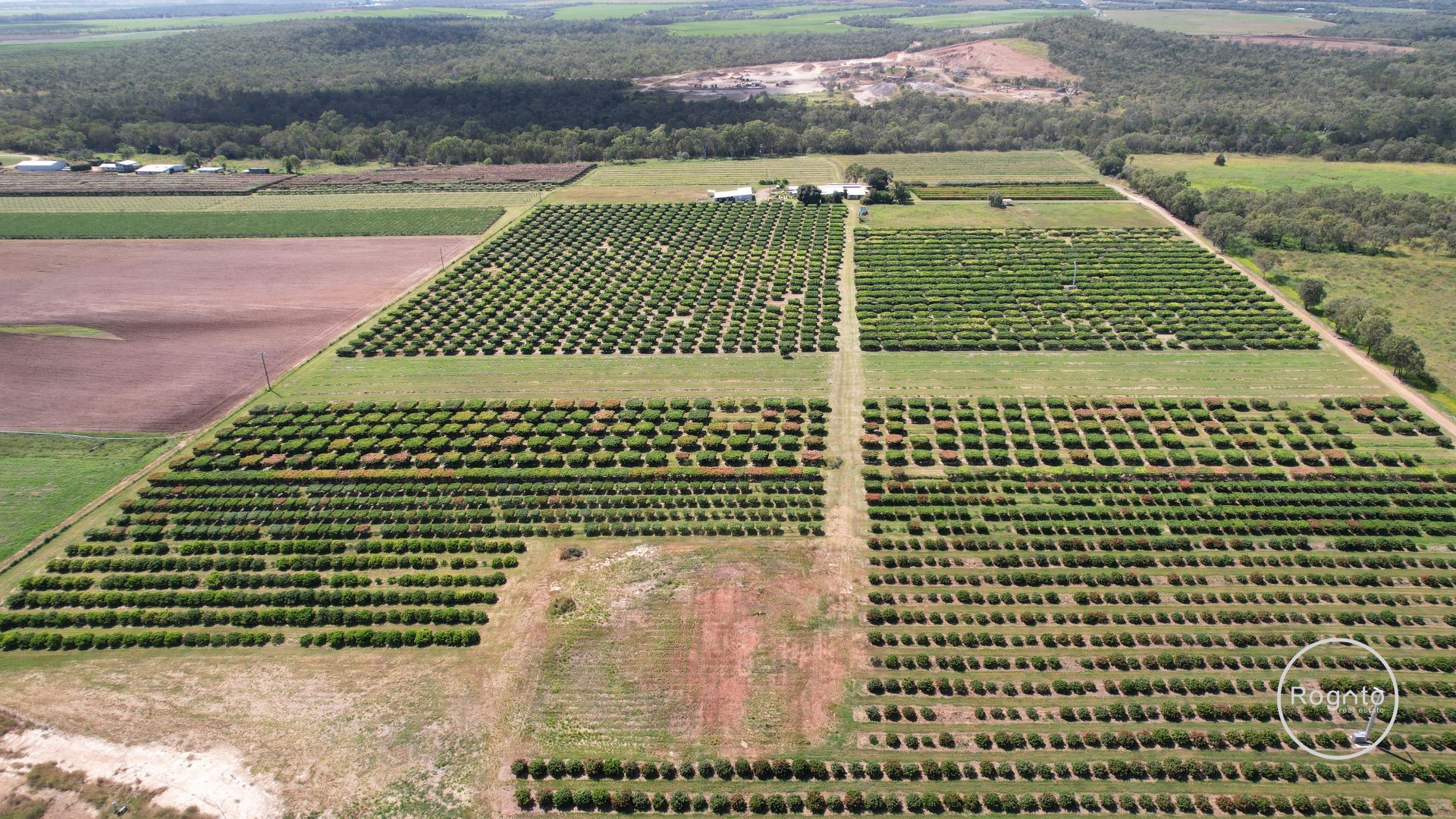 Mutchilba QLD 4872 - House for Sale | Domain