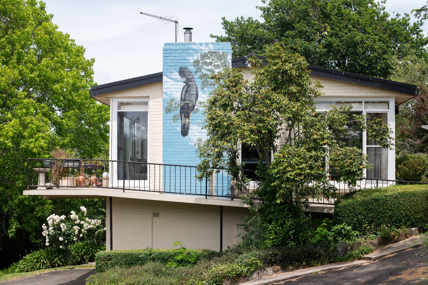 17a Wentworth Street, Newstead TAS 7250 | Domain