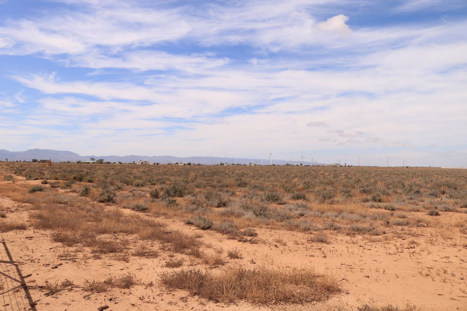 Sold Lot 12 Mary MacKillop Road, Port Paterson SA 5700 on 15 Nov 2023 ...