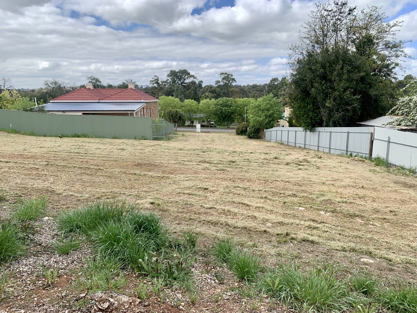 338 Main North Road, Clare SA 5453 | Domain