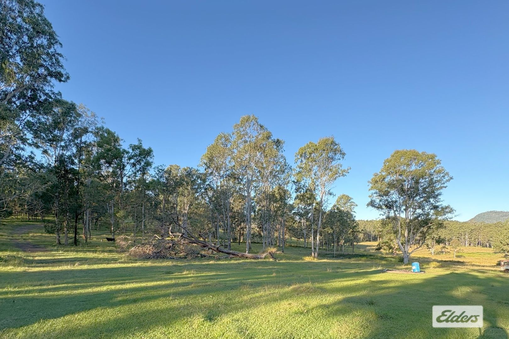 440 Lone Pine Road, Upper Fine Flower NSW 2460 - House For Rent | Domain