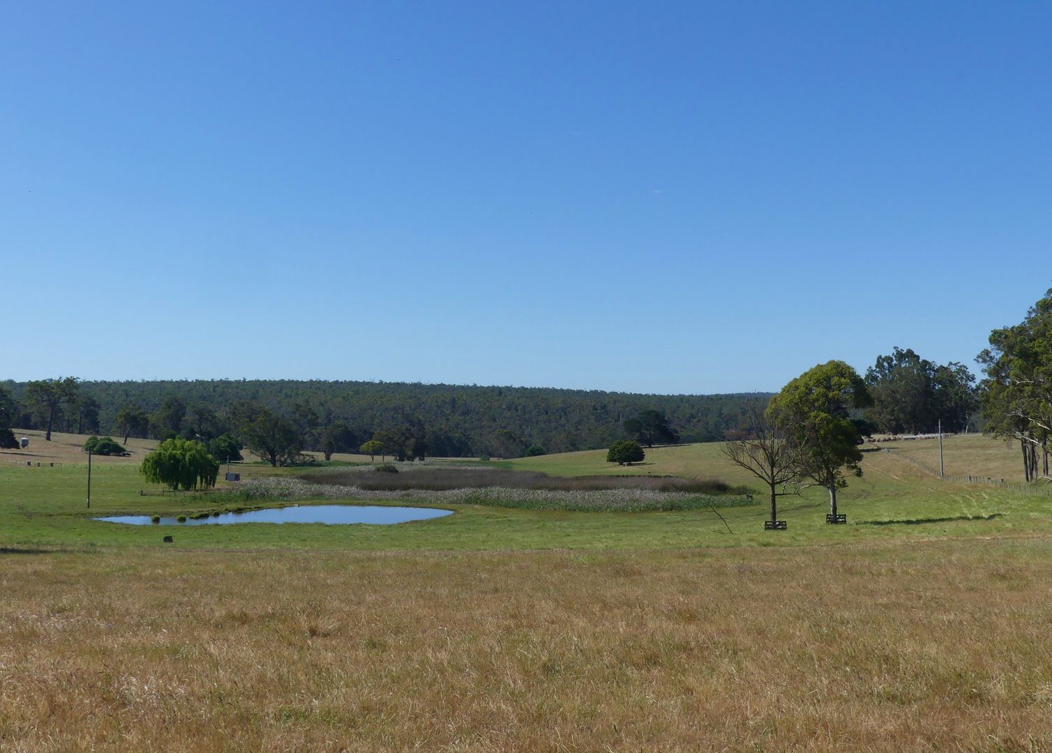 2441 Muir Highway (Perup), Manjimup WA 6258 - House for Sale - $4,125,000