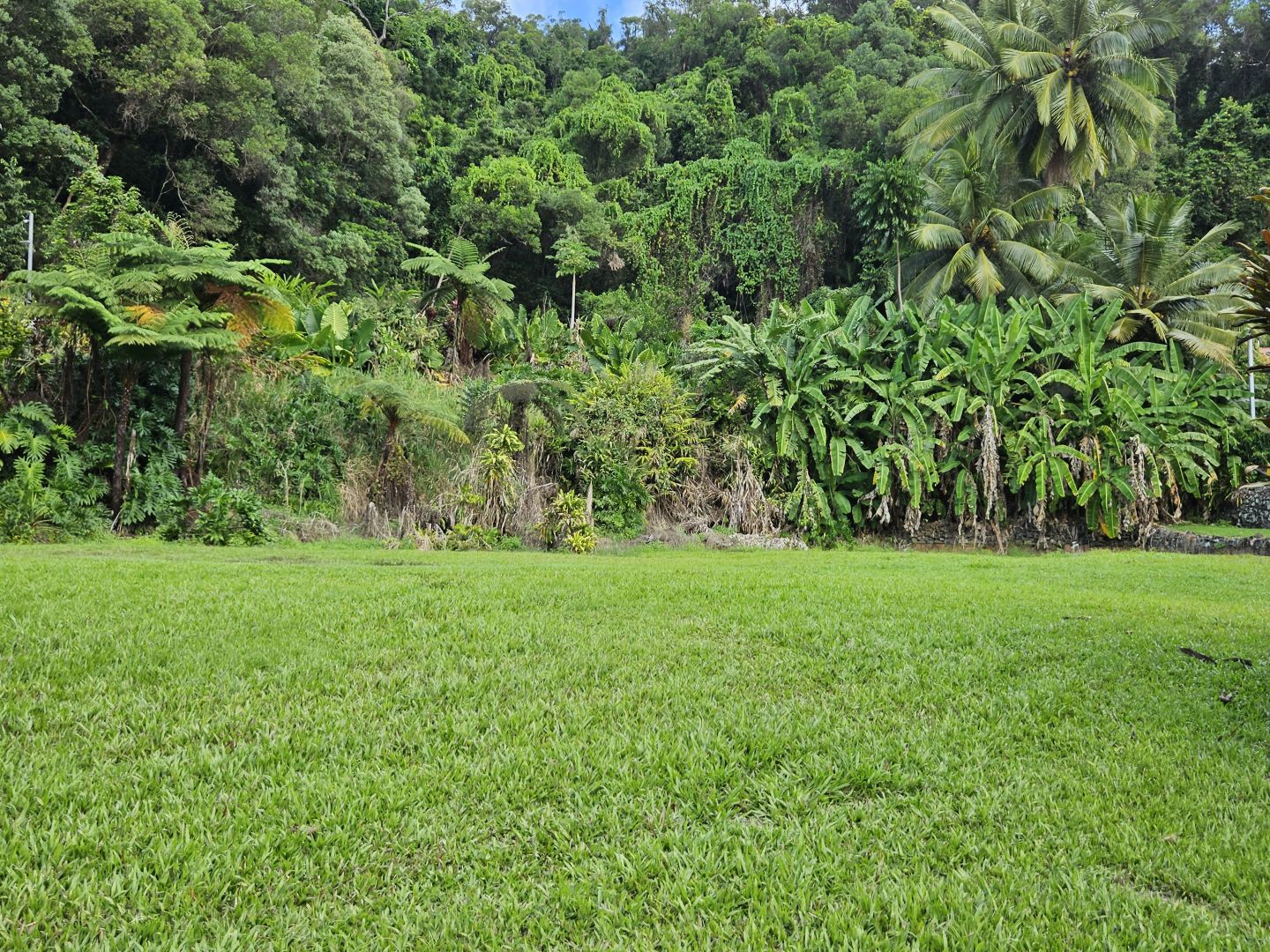 1295 Mossman Daintree Road, Rocky Point QLD 4873 | Domain