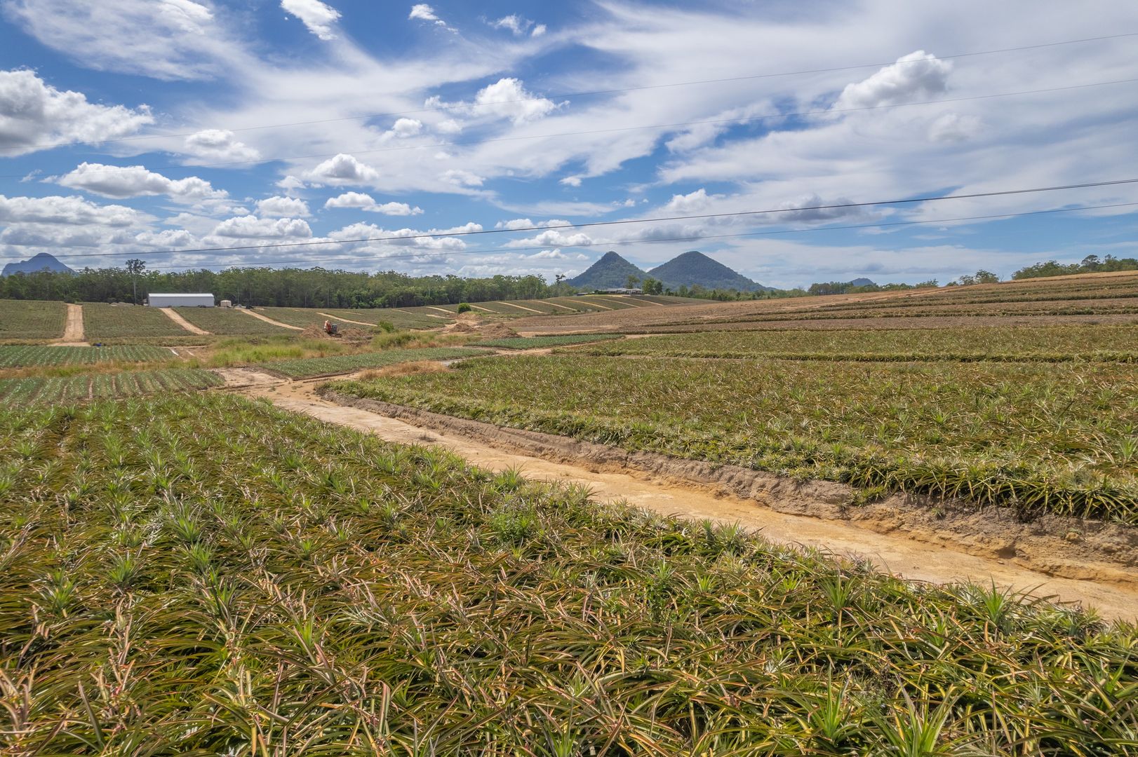 90 Woodlands Drive, Wamuran QLD 4512 | Domain