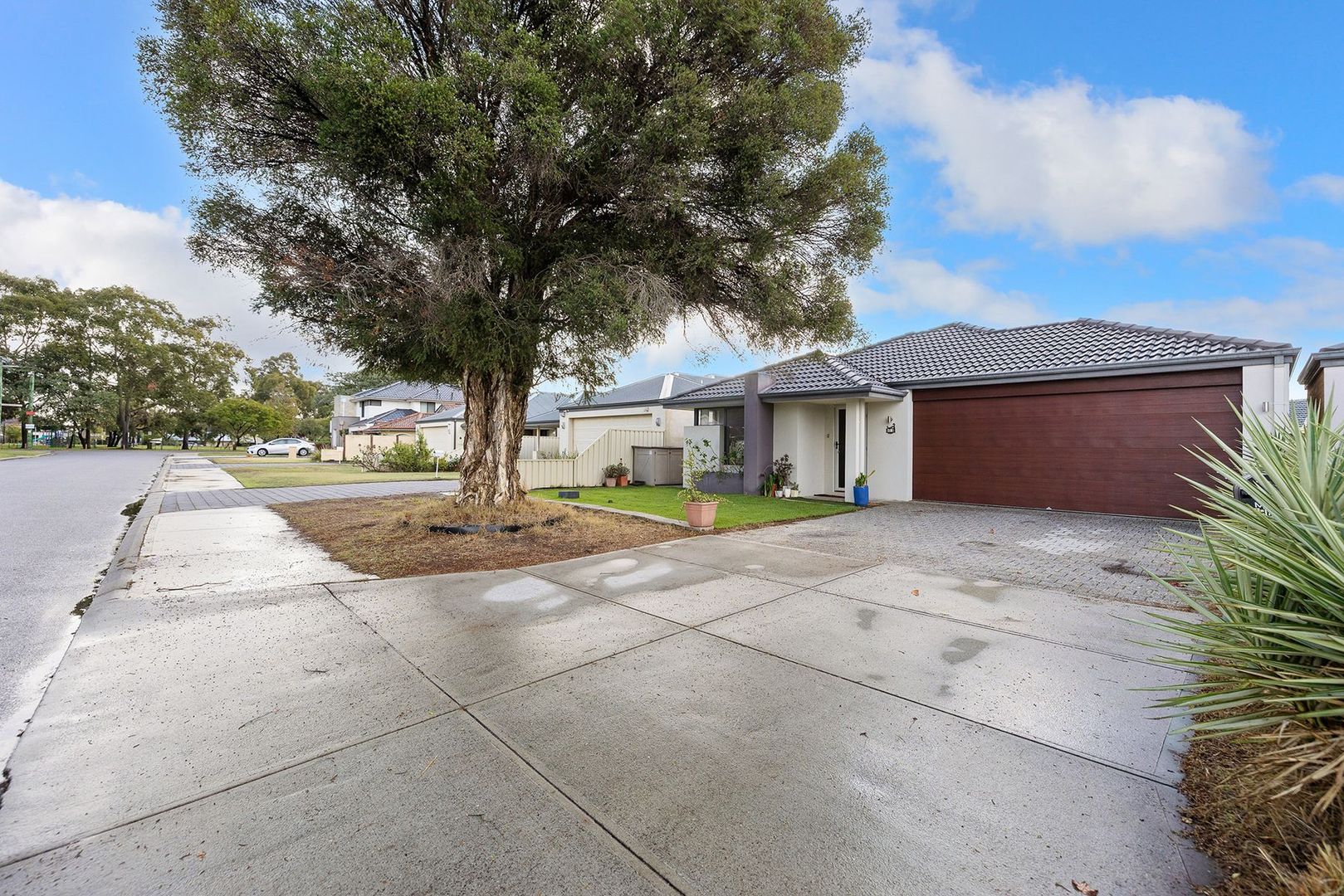 1/8 Betula Street, Riverton WA 6148 | Domain