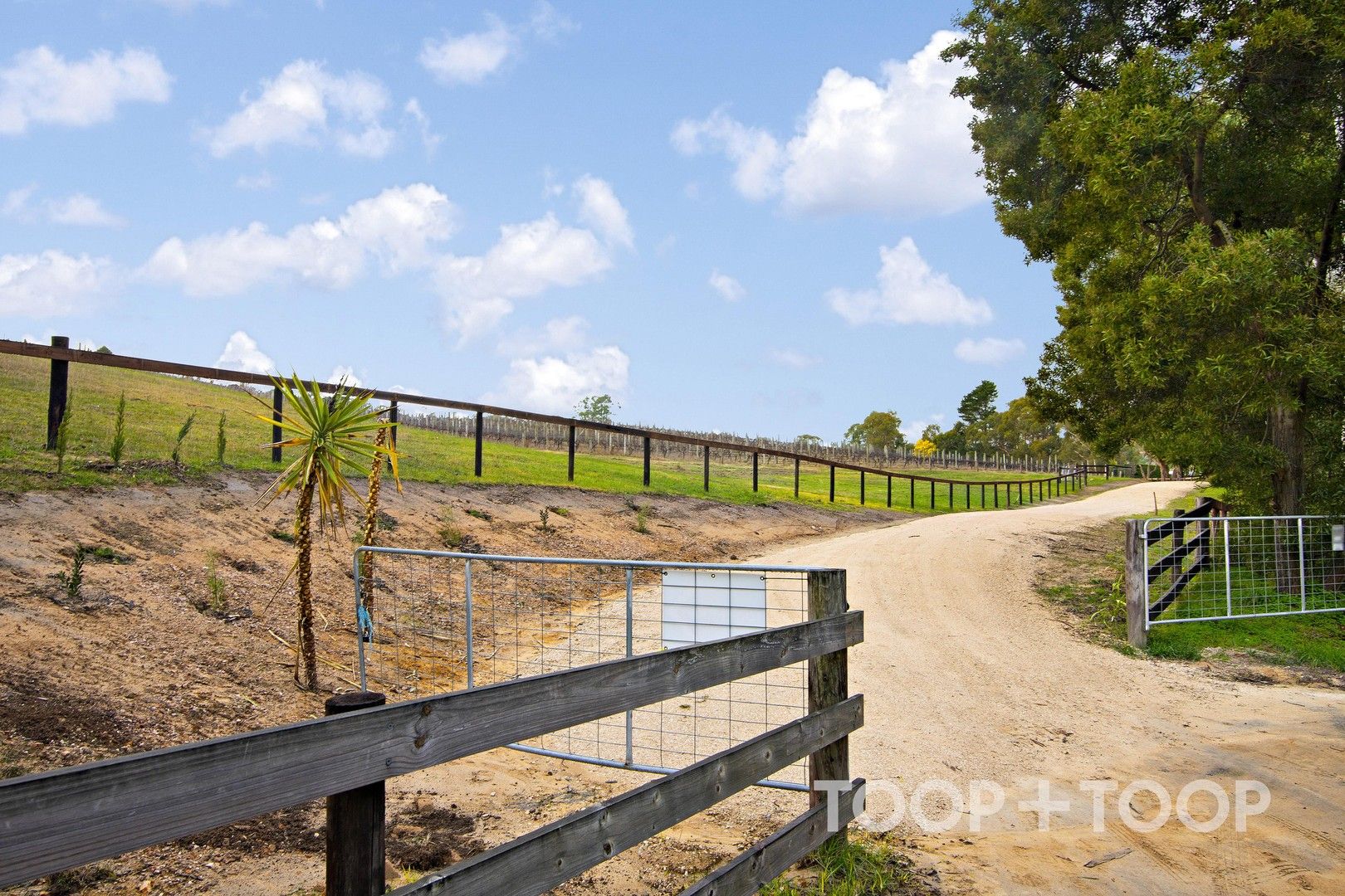 11 Onkaparinga Valley Road, Verdun SA 5245 | Domain