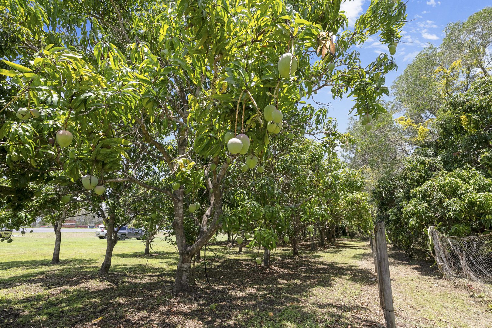 33785 Bruce Highway, Skyring Reserve QLD 4671 | Domain