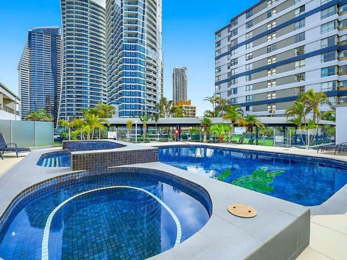 1602/3 Orchid Avenue, Surfers Paradise QLD 4217 - Apartment For Rent - $700 | Domain
