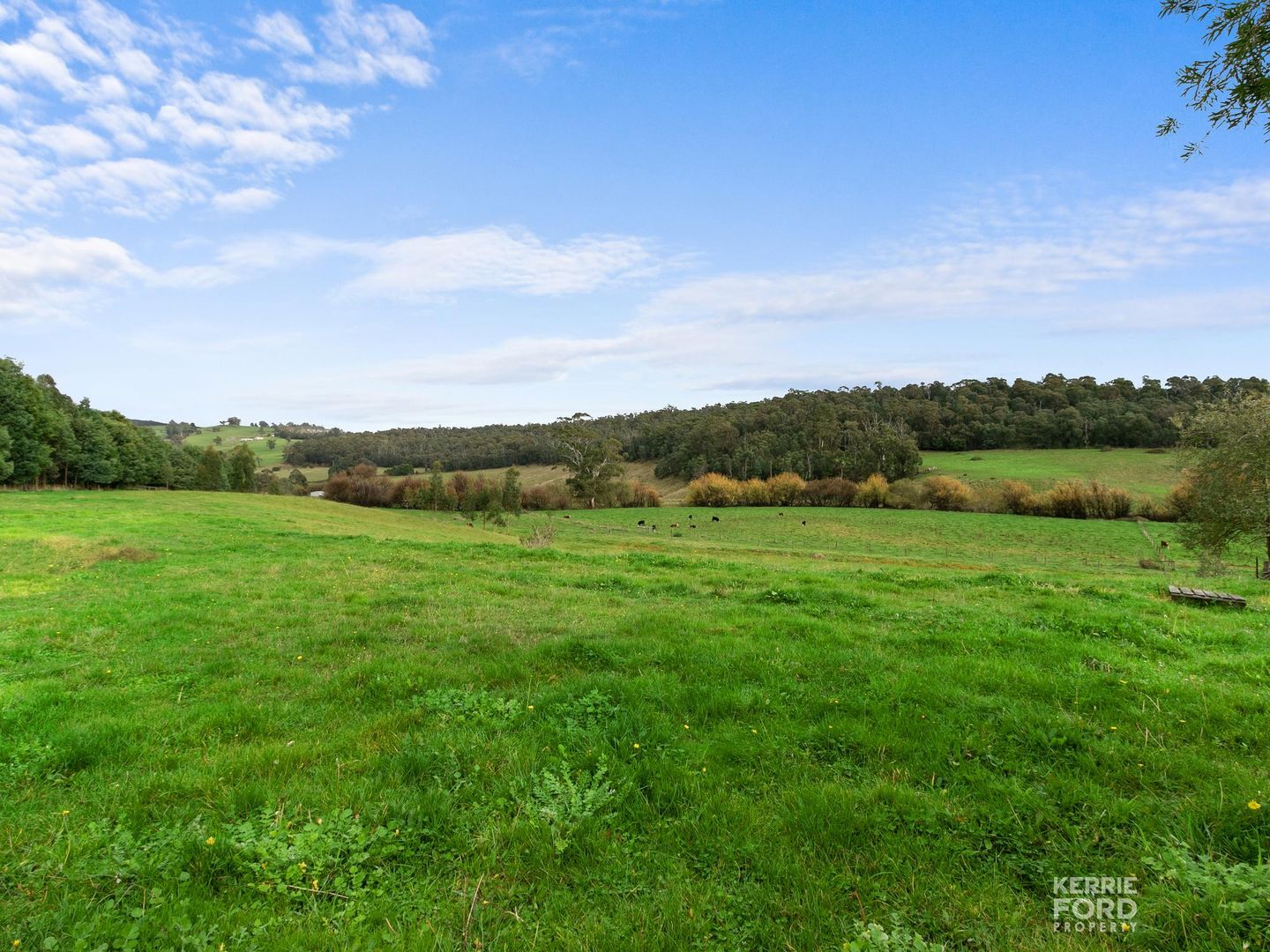 516 Merrimans Creek Road, Gormandale VIC 3873 | Domain