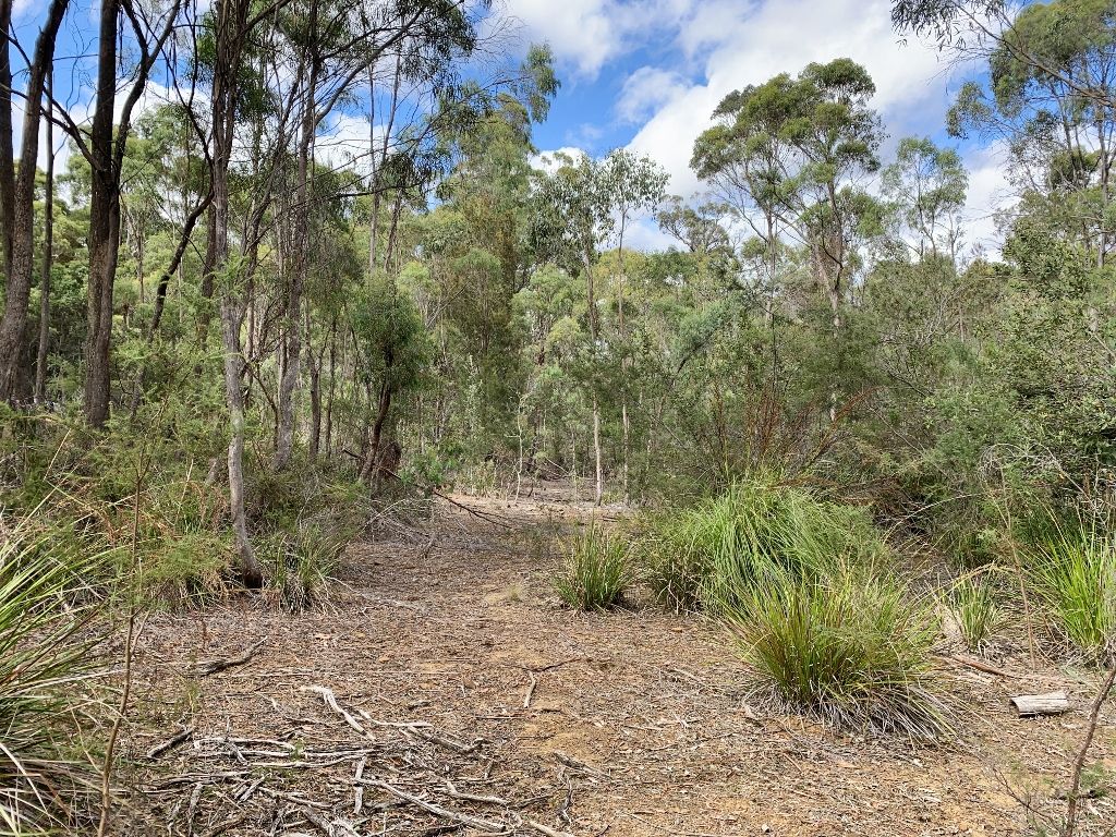 216 Magazine Road, Dilston TAS 7252 - Vacant Land for Sale | Domain