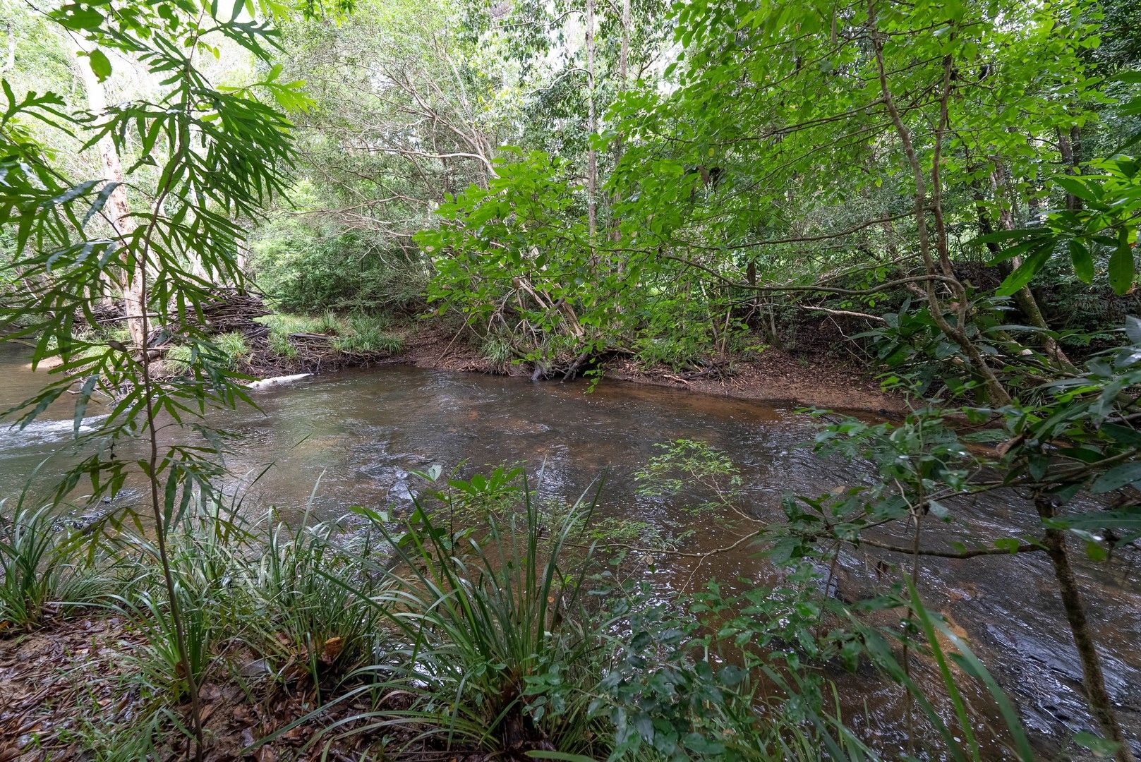 3 Copland Road, Koah QLD 4881 | Domain