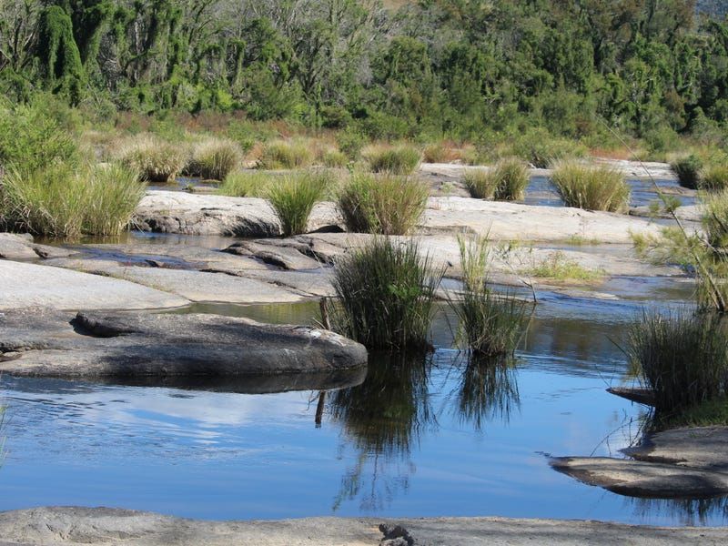 198 Lower Rocky River Road, Drake NSW 2469 - Specialist Farm for Sale