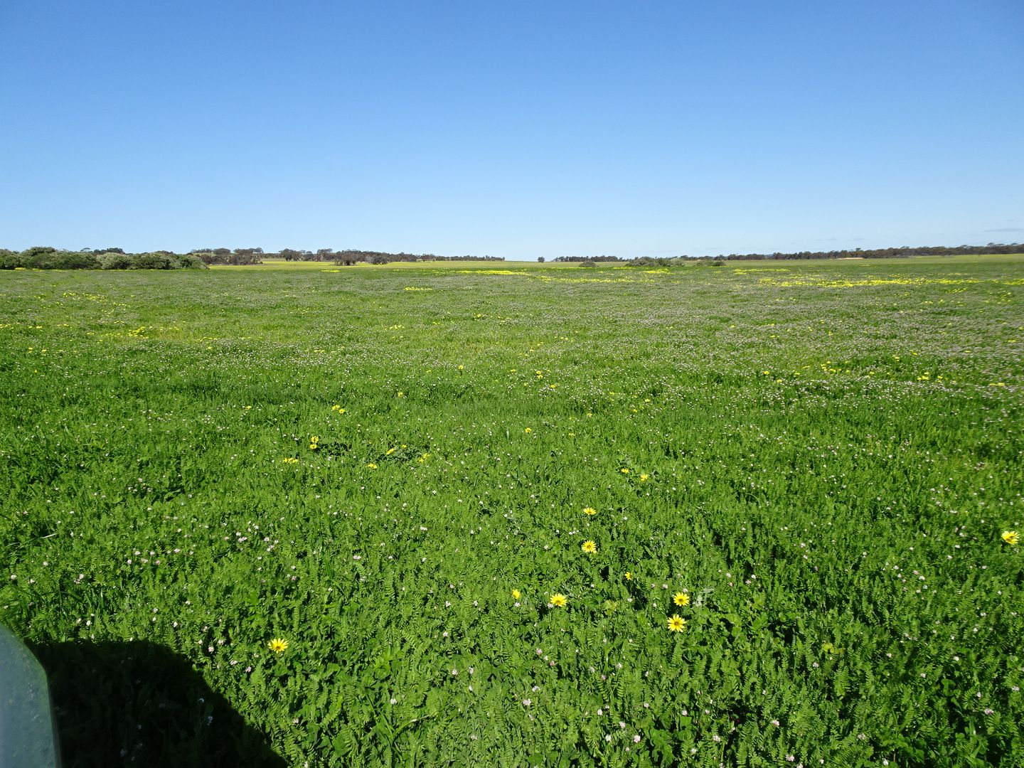 Lot 12520 Great Southern Highway, Woodanilling WA 6316 - House for Sale ...