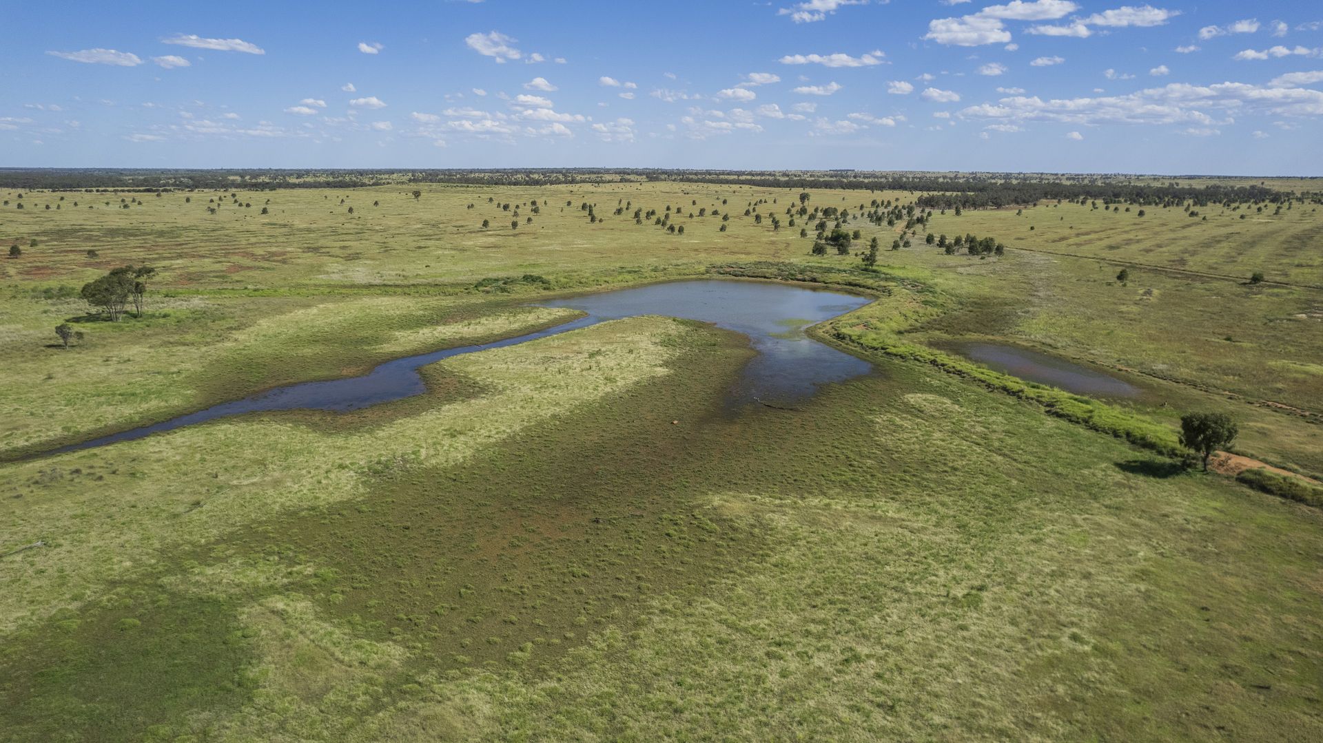 5673 Tomoo Road Mungallala Via Roma, Roma QLD 4455 - Specialist Farm ...