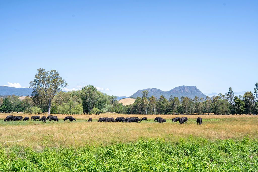 101 - 175 Taggerty - Thornton Road, Taggerty VIC 3714 - House for Sale ...