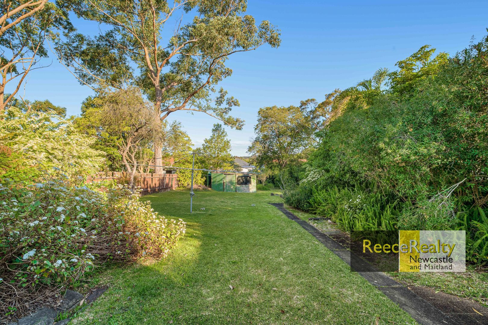 55 Rae Street, Birmingham Gardens NSW 2287 | Domain