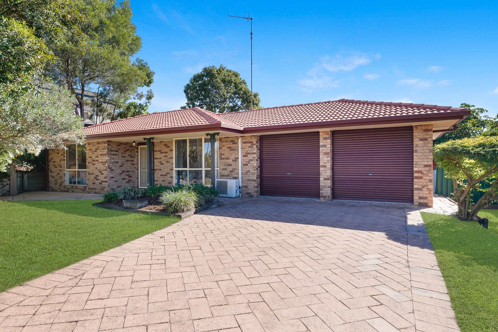3 Dalby Court, Helensvale QLD 4212 | Domain