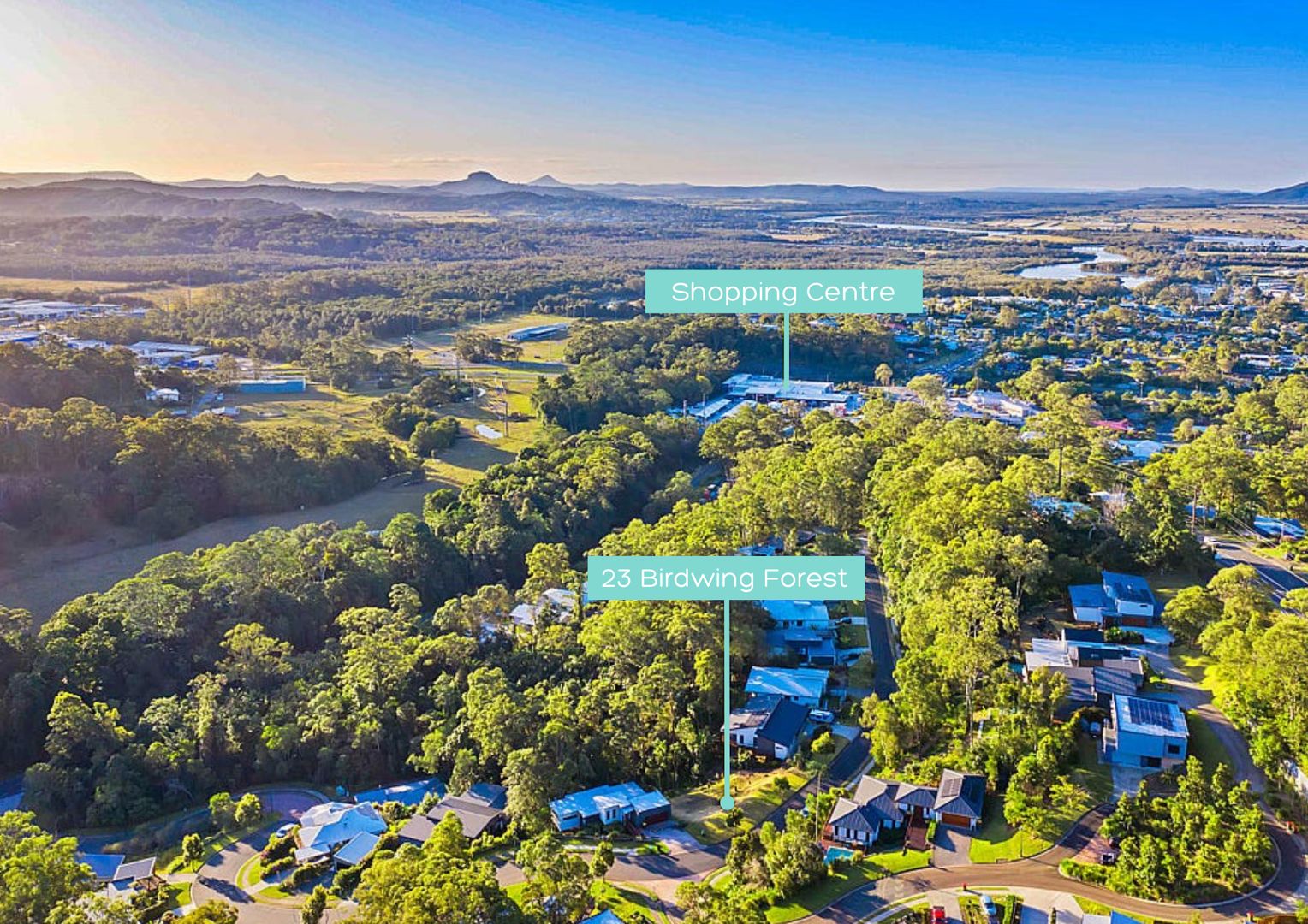 23 Birdwing Forest Place, Buderim QLD 4556 | Domain