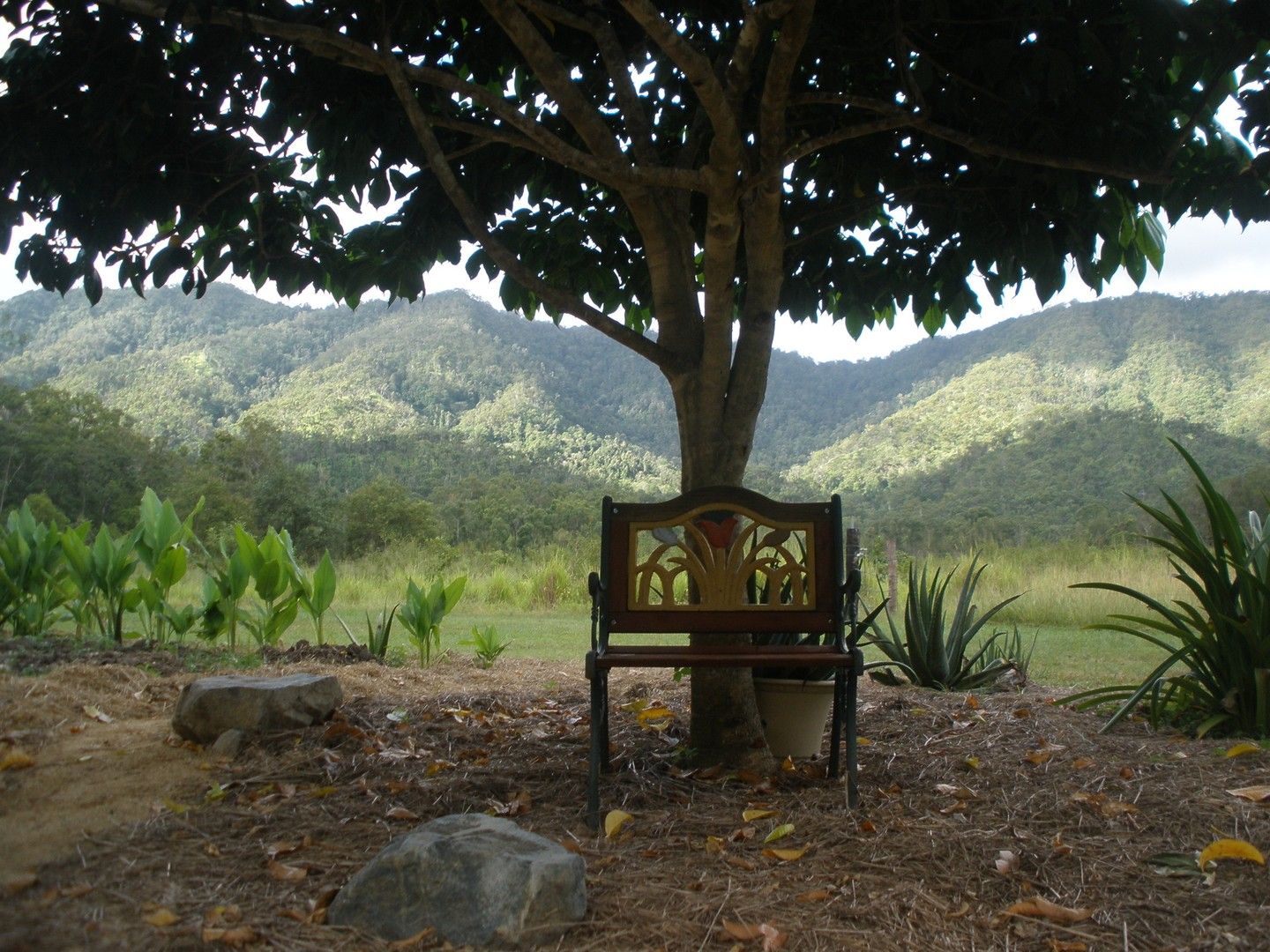 6209 Mackay - Eungella Road, Netherdale | Property History & Address ...