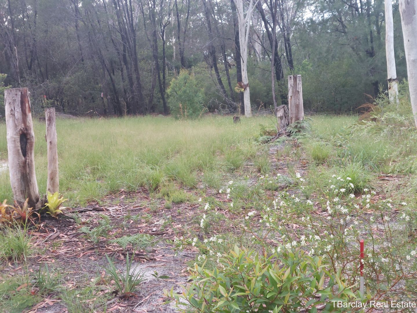 33 Cowderoy Dr, Russell Island QLD 4184 | Domain