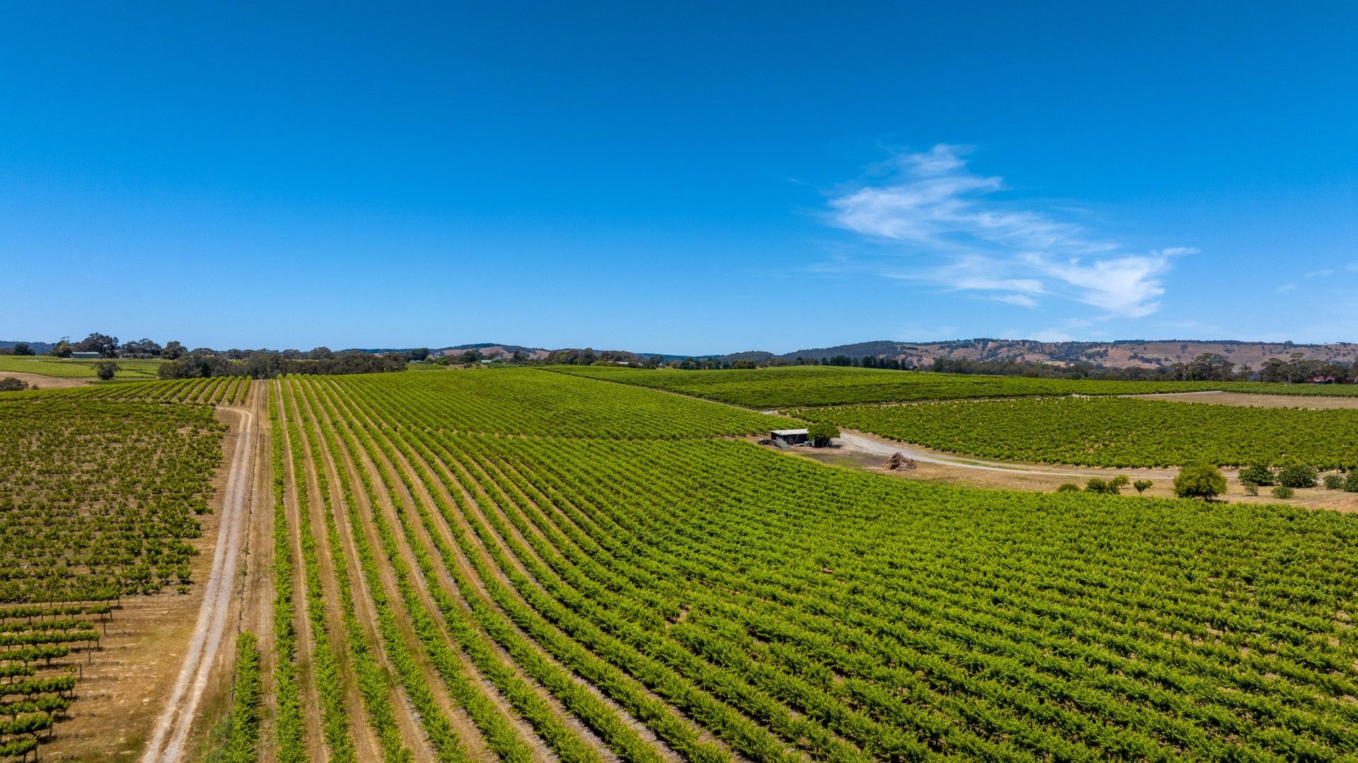 47 Ronald Road, Blewitt Springs SA 5171 - Viticulture Property for Sale