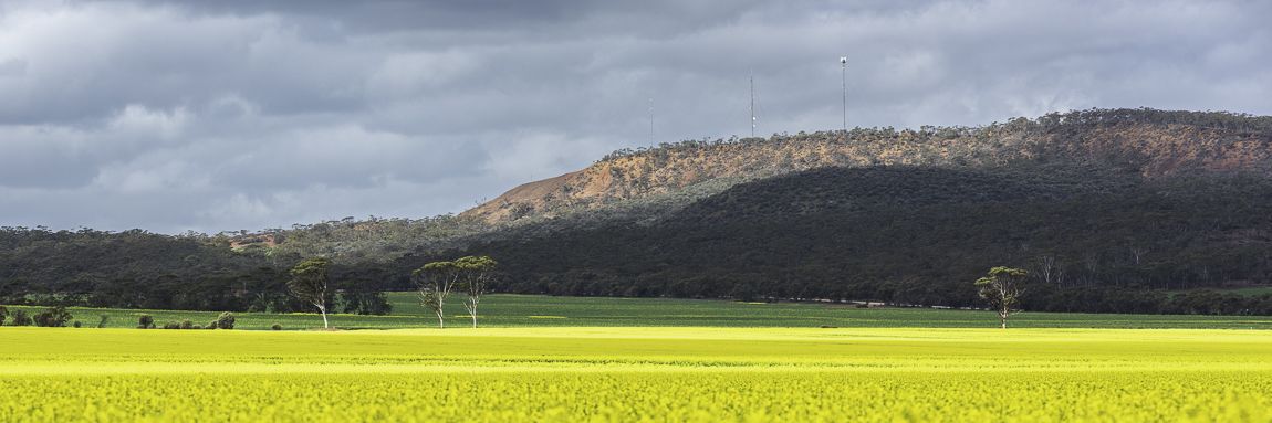 Lake Hinds Road North, Wongan Hills WA 6603 - House for Sale | Domain