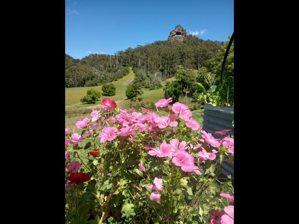 Upper Lansdowne NSW 2430 - 1 bed house for Sale, $1,200,000 ...