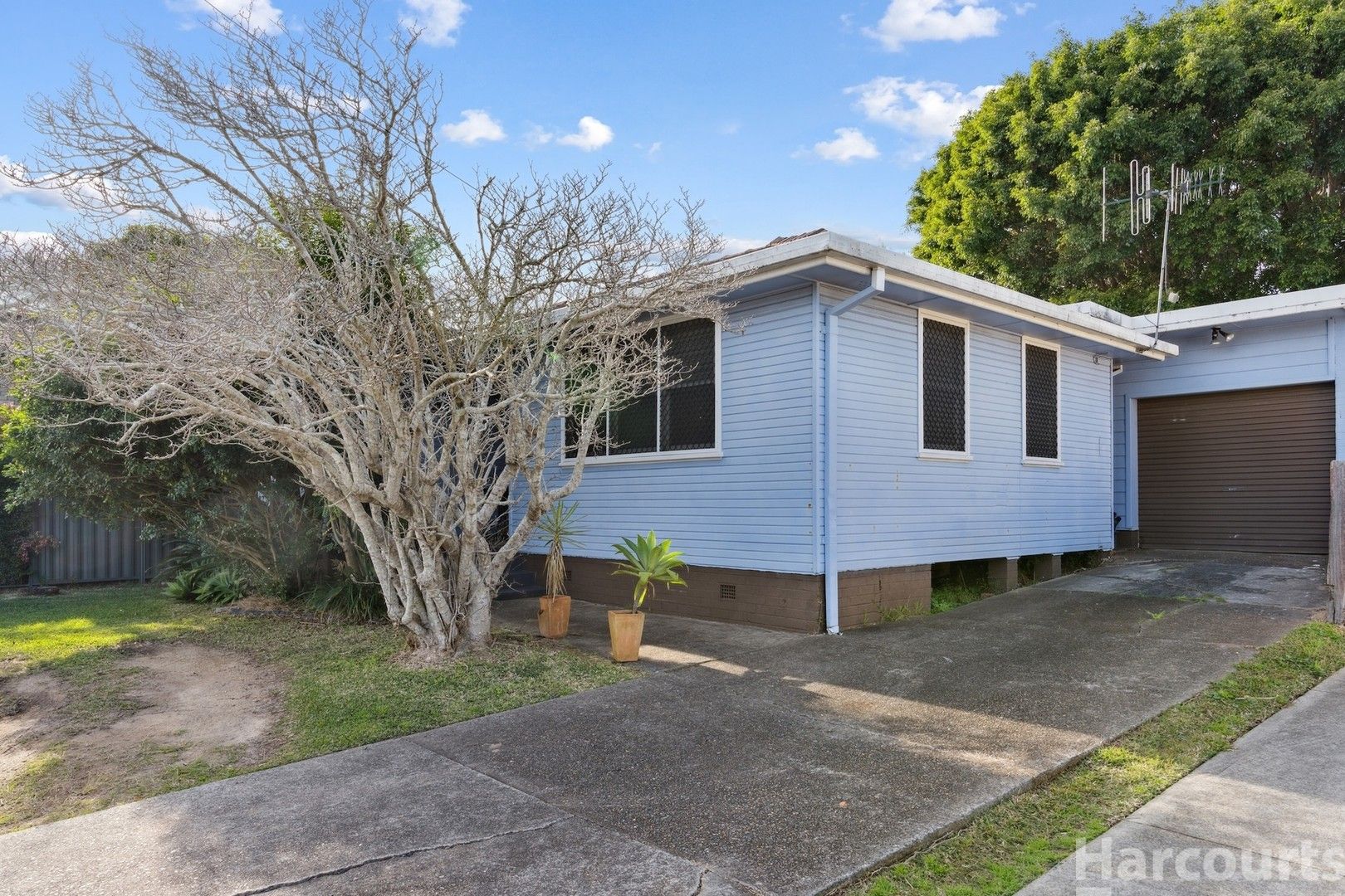 64 Ocean Drive, Port Macquarie NSW 2444 | Domain