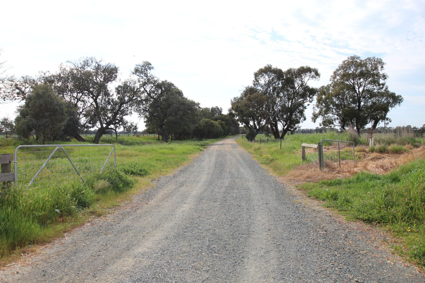 612 Kotta Road, Kotta VIC 3565 - Specialist Farm for Sale - $2,600,000