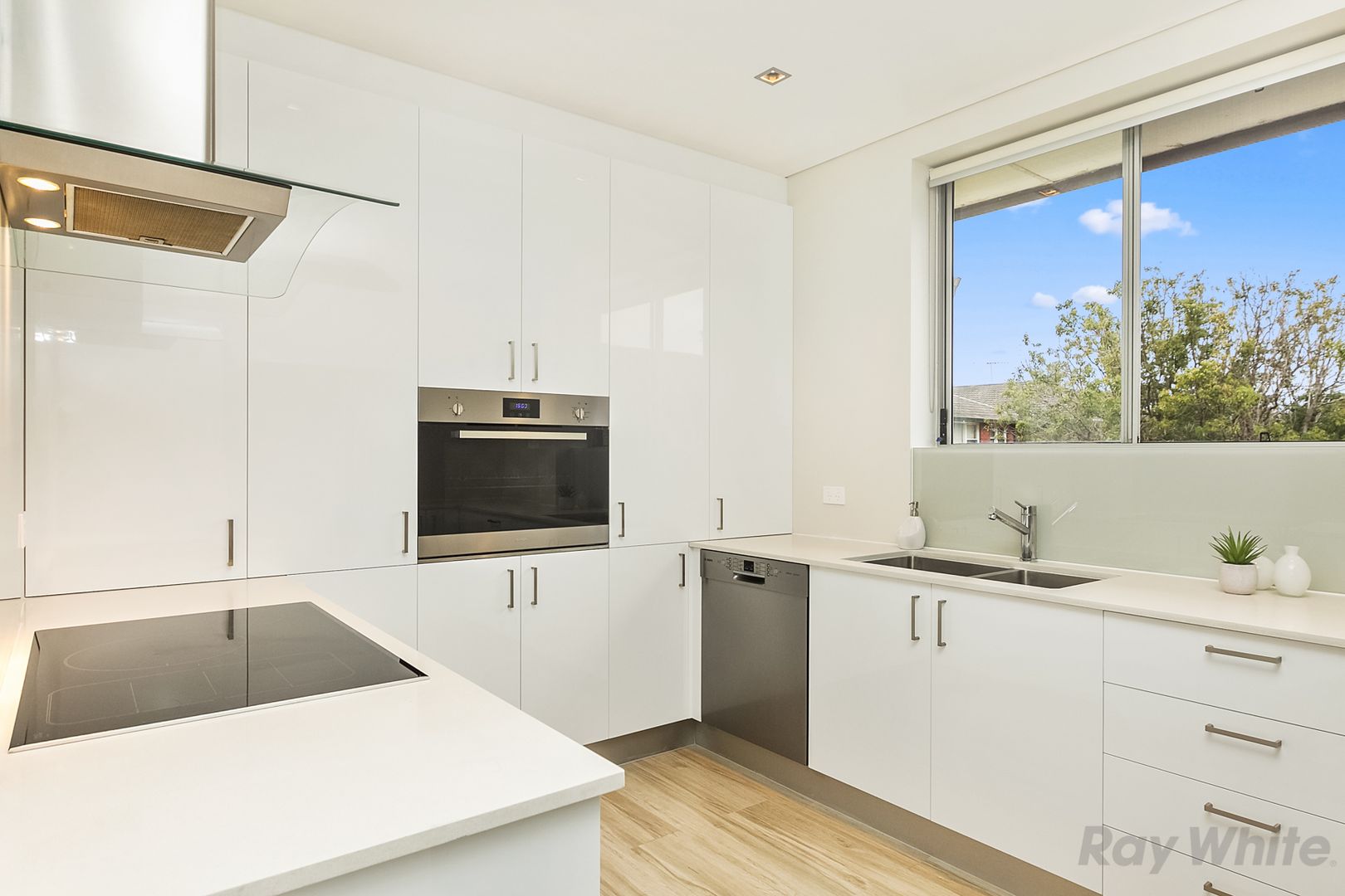 5/65 Avoca Street, Randwick NSW 2031 - Apartment For Rent - $1,100 | Domain