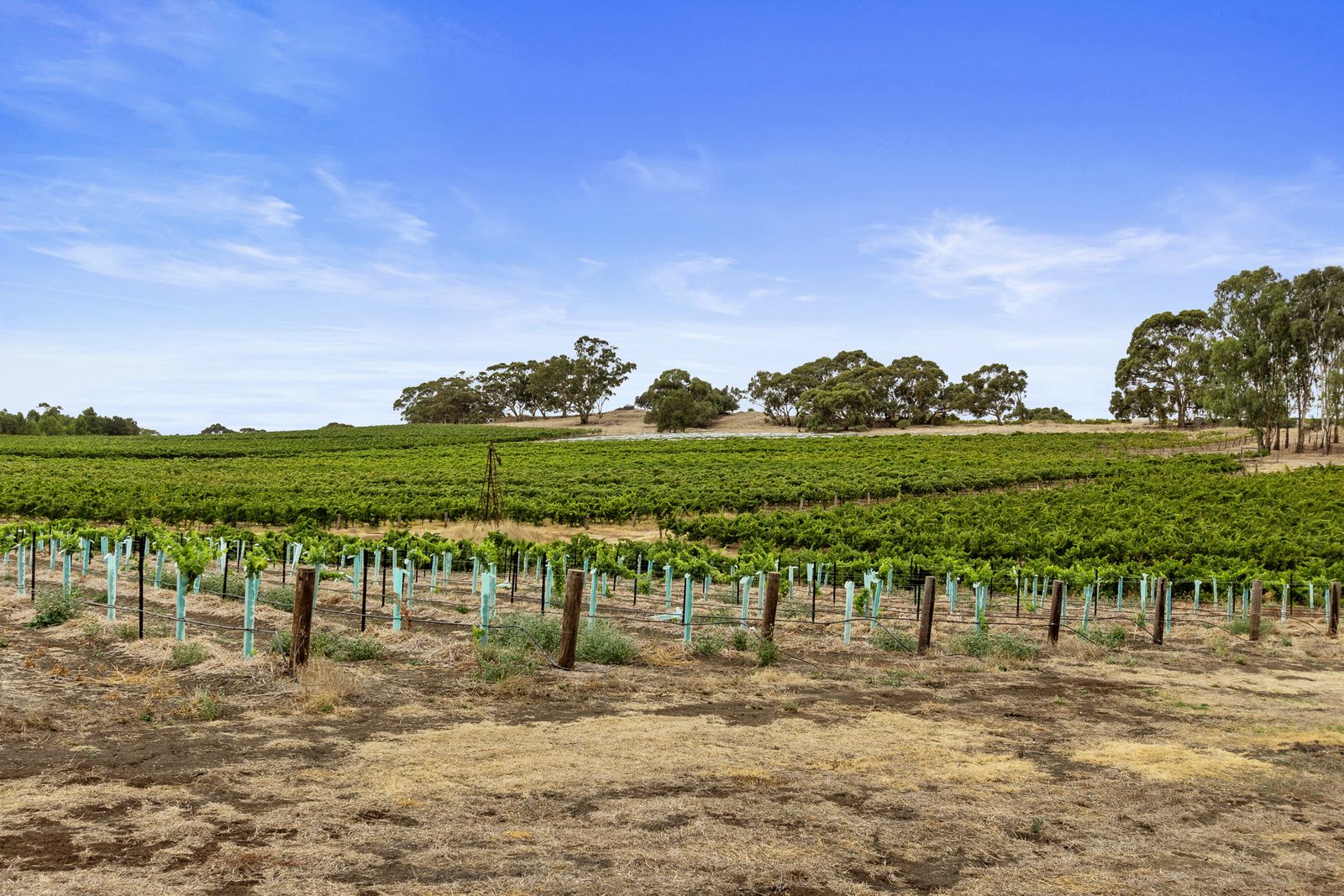 15 North Terrace, Watervale SA 5452 | Domain