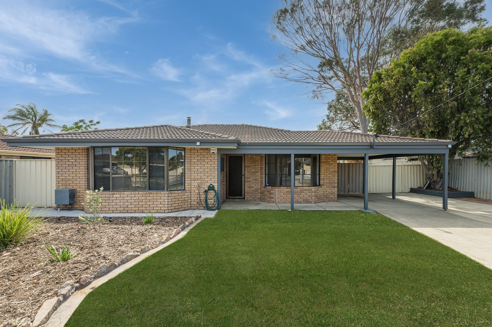 5 Daylight Close, Beldon WA 6027 - House For Rent | Domain