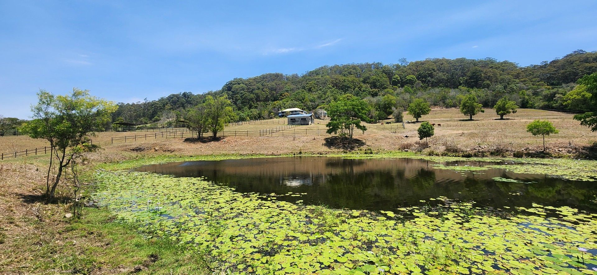 Kiamba QLD 4560 - House for Sale | Domain