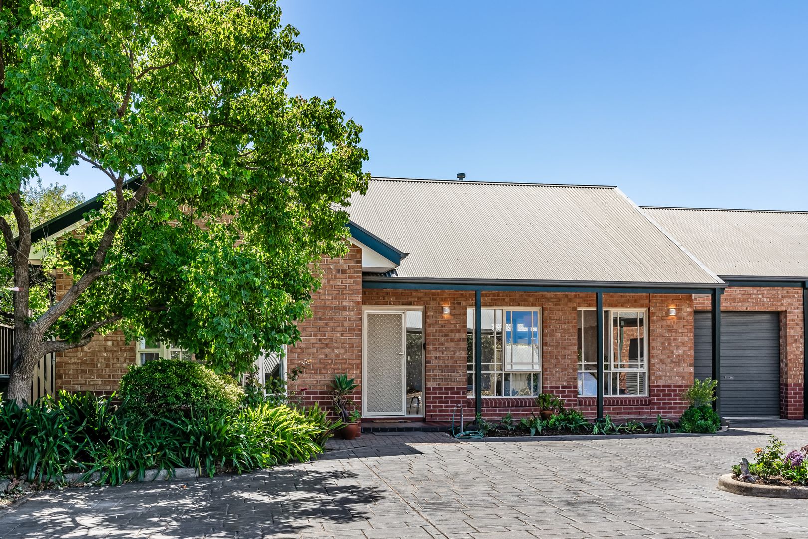 1/2A Frick Avenue, Firle SA 5070 | Domain