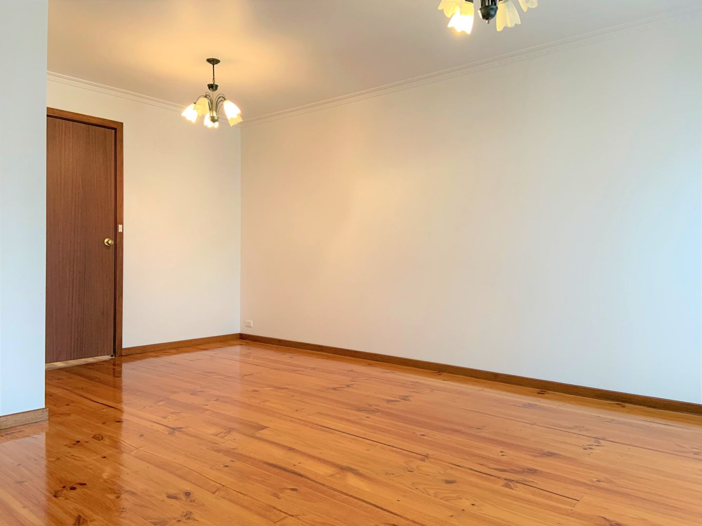 6/183 Lower Dandenong Road, Mentone VIC 3194 - Apartment For Rent | Domain