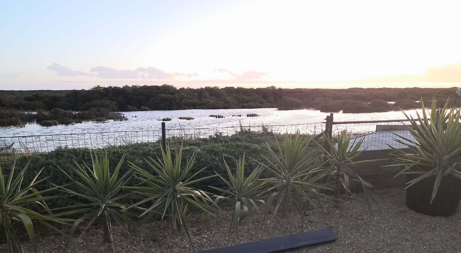 1765 The Esplanade, Middle Beach SA 5501 | Domain